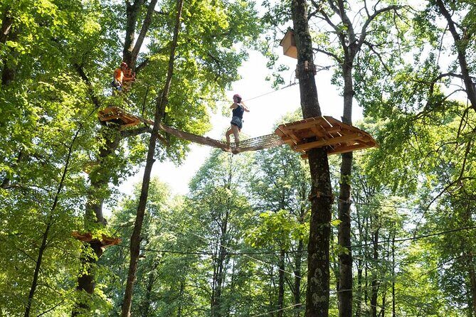 Adult Daily ticket for Adventure Park in Gravedona - Who Will Love This Adventure?