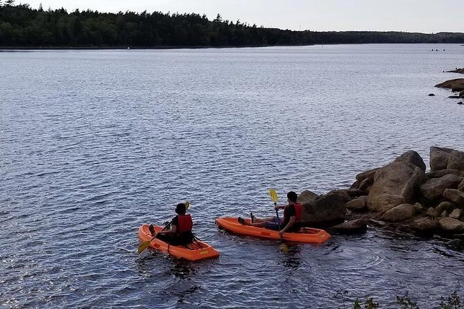 Adult Single Kayak Rental - A Practical Introduction to the Halifax Kayak Experience