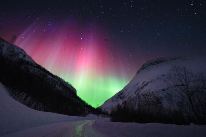 Adults Only Aurora Hunt with Citizen Science with Wandering Owl - What Reviewers Love Most