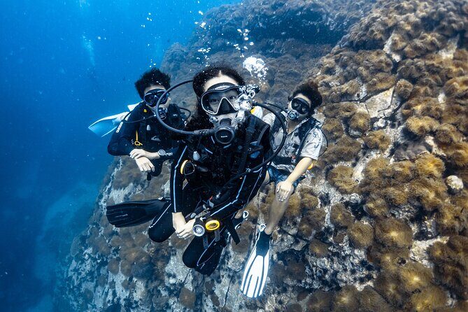 Advanced Adventurer - 2 days ( Advanced Open Water) - Key Points