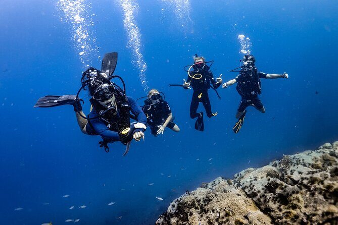 Advanced Adventurer - 2 days ( Advanced Open Water) - The Review Highlights