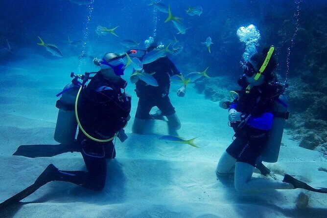 Advanced Open Water Diver - Bávaro - Introduction to the Bávaro Advanced Open Water Course