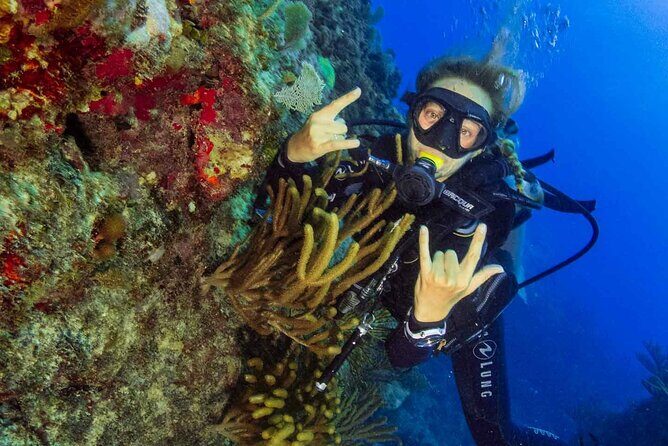 Advanced Open Water Diver - Bávaro - What the Reviews Say