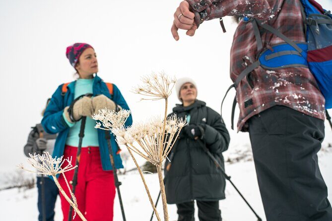 Advanced Snowshoeing Adventure - Starting Point: The William A. Egan Civic & Convention Center