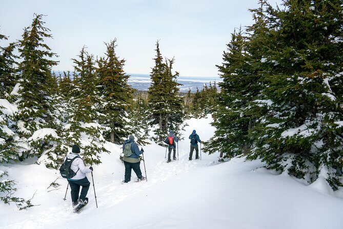 Advanced Snowshoeing Adventure - Tracking Wildlife and Wildlife Signs