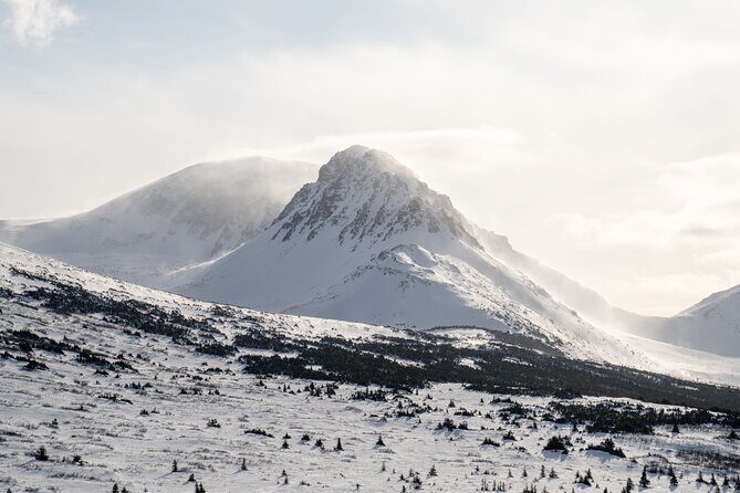 Advanced Snowshoeing Adventure - Challenging Terrain with Stunning Rewards