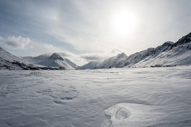 Advanced Snowshoeing Adventure - Snacks and Rest Breaks