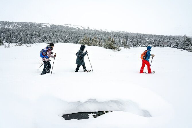 Advanced Snowshoeing Adventure - Return Journey
