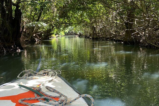 Advemus Tours - The Sum Up