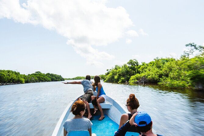 Adventour Day: Coloradas and Rio Lagartos Excursion from Cancun! - What You’ll Love About This Tour