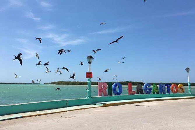 Adventour Day: Coloradas and Rio Lagartos Excursion from Cancun! - Final Thoughts: Value & Authenticity