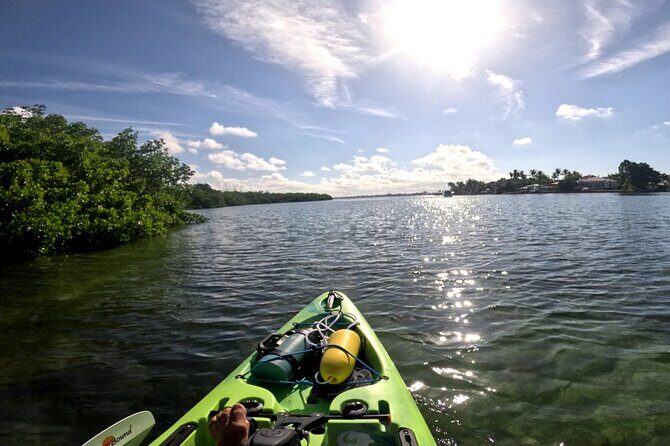 Adventure and Wildlife Watch Kayak Rentals in Sarasota - Discover Sarasota’s Mangrove Tunnels with a Kayak Rental