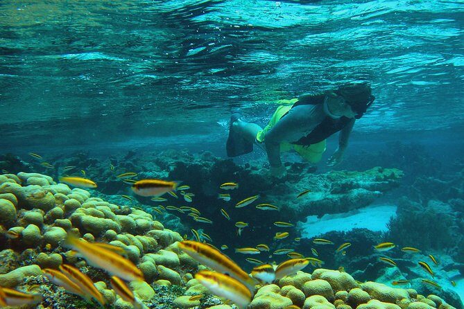 Adventure Antigua - Eli's Original Eco Tour - FAQ