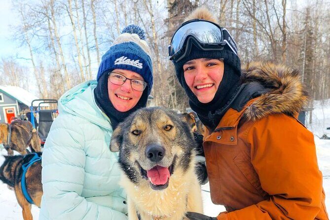 Adventure Awaits Dog Sledding on Stunning Alaskan Trails - Why This Tour Offers Great Value