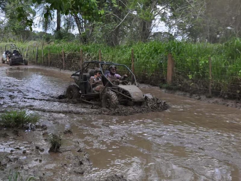 Adventure Bayahibe Buggy between Jungle, Caves & Beaches - Final Thoughts