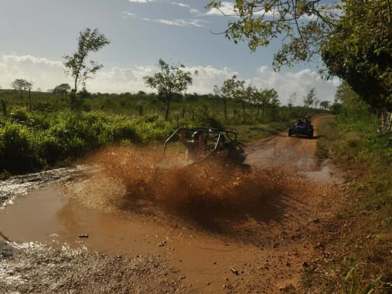 Adventure Bayahibe Buggy between Jungle, Caves & Beaches - FAQ