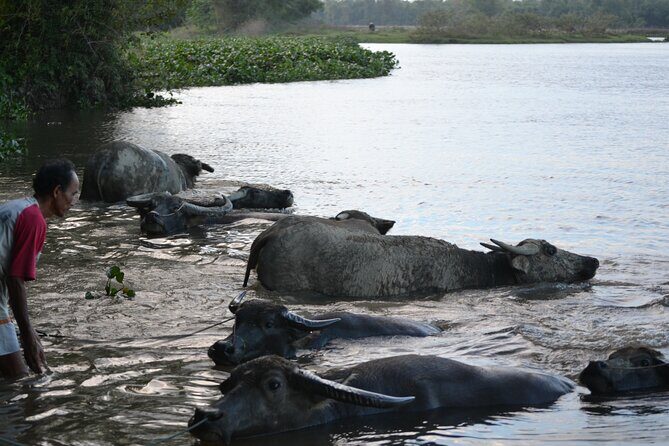 Adventure Bike Tour from Hoi An - FAQ