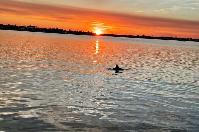 Adventure Boat Tours - Sunset Water Tour in St. Augustine - A Full Breakdown of the Sunset Water Tour Experience