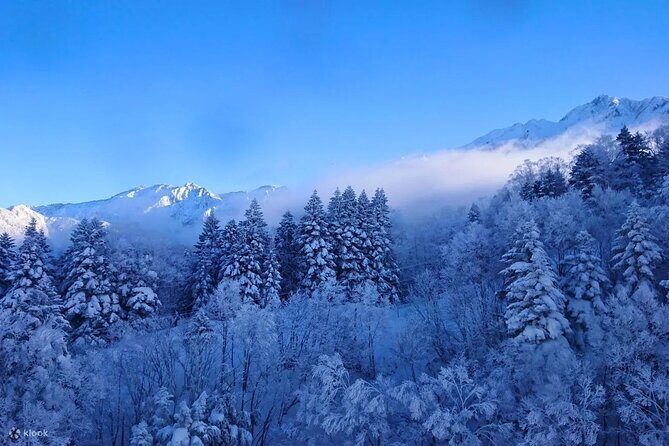 Adventure Cable Car Tour to Shinhotaka Ropeway - Why This Tour Stands Out