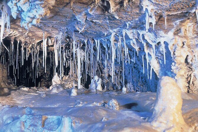 Adventure Cable Car Tour to Shinhotaka Ropeway - Authentic Experiences and Honest Feedback