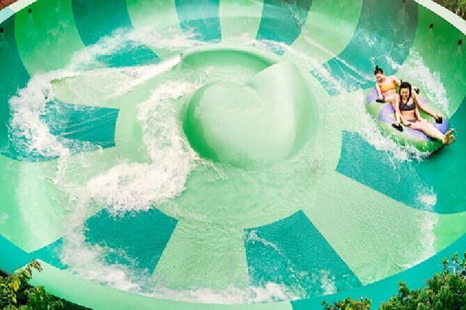 Adventure Cove Waterpark + 1 Way Transfer - Authentic Experiences and Real Traveler Feedback