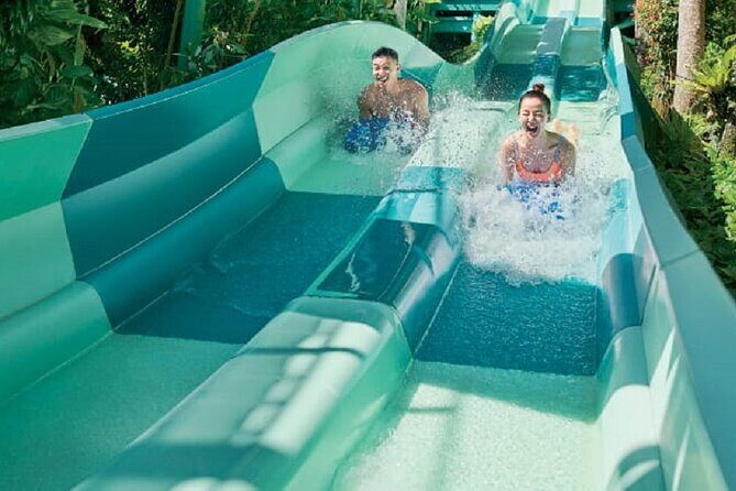 Adventure Cove Waterpark + 1 Way Transfer - Practical Considerations for Your Visit