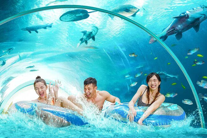 Adventure Cove Waterpark Tickets - Key Points
