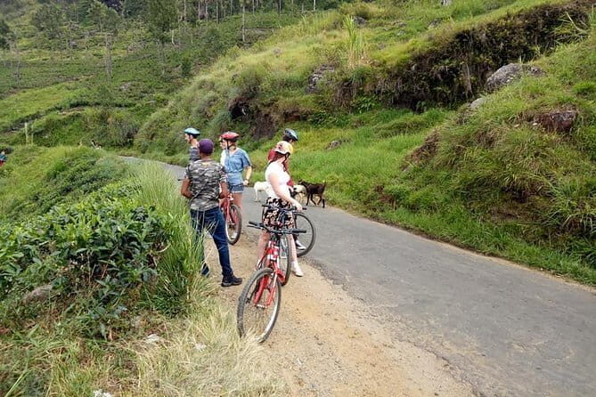 Adventure Cycling in Ella - Why This Tour Works Well