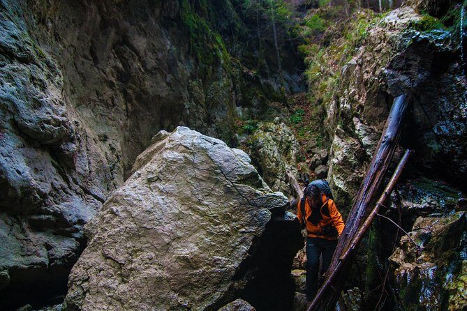 Adventure day trip from Iasi | Hiking in the Carpathian Mountains - Discovering the Carpathians from Iasi