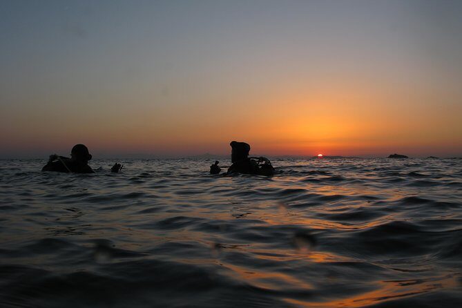Adventure Dives for certified divers in Nea Makri, Athens - Overview of the Experience
