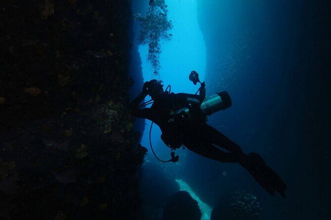 Adventure Dives for certified divers in Nea Makri, Athens - Review Highlights: Authentic Experiences from Divers