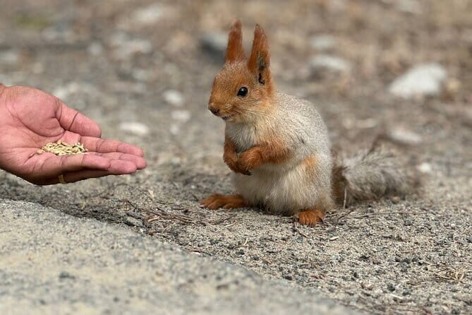 Adventure & Hike in Ala Archa National Park & Bishkek City Tour - Key Points