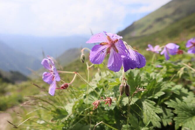 Adventure & Hike in Ala Archa National Park & Bishkek City Tour - Final Thoughts: Why Choose This Tour?