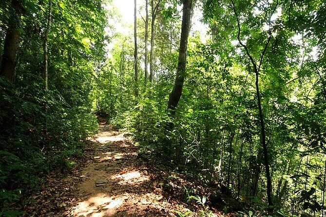 Adventure Hunting - Practical Considerations