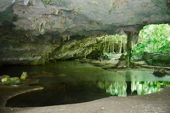 Adventure in ATV, Cenote swimming, snack & transportation - Who is This Tour Best For?