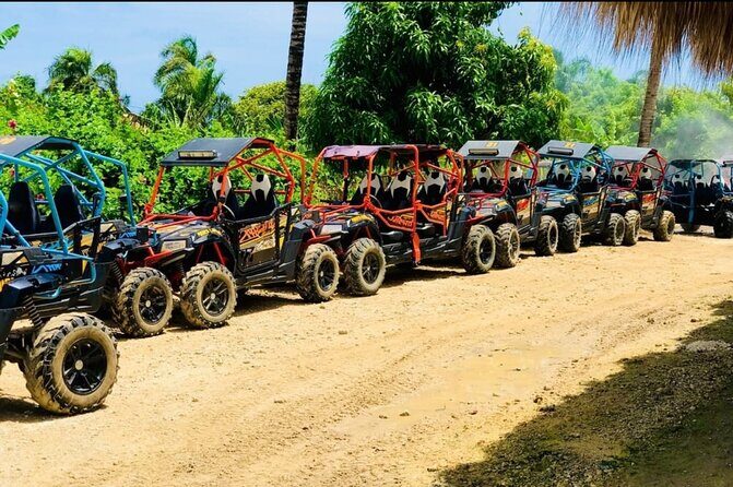 Adventure in Buggies + cenote Punta Cana - Cultural Tasting Experiences