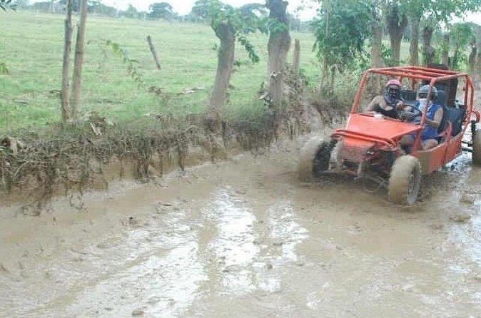 Adventure in Buggies + cenote Punta Cana - Who Would Love This Tour?