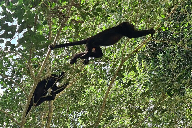 Adventure in Calakmul departing from Campeche - FAQ