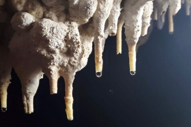 Adventure in Cave and the Guayaney Spring - What to Expect from This Tour