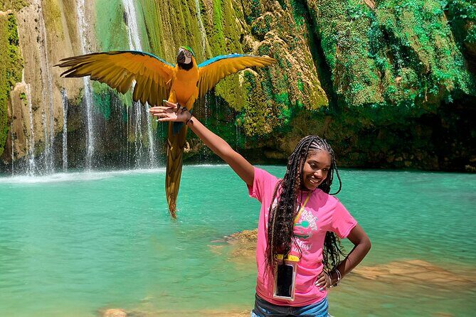 Adventure in Samaná: El Limón Waterfall, Playa Rincon Cayo Levantado - Introduction