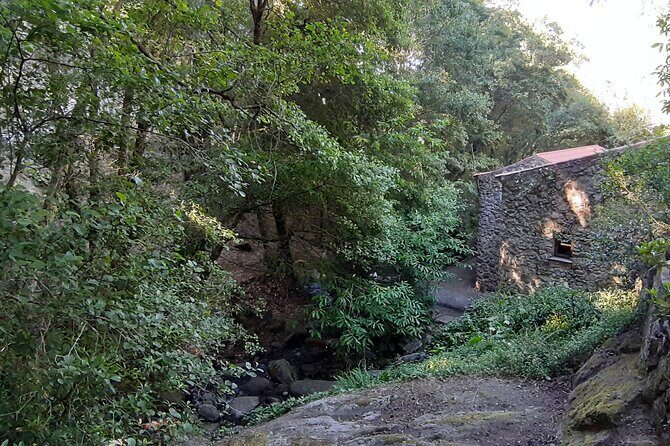 Adventure in Serra de Monchique - 4 Hours - Why It’s Worth the Price