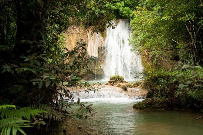 Adventure in the bay of samana and waterfall El limon from punta cana - Key Points