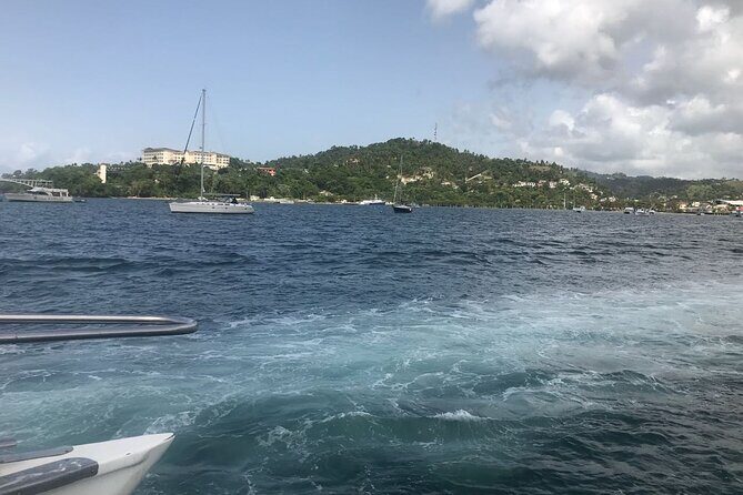 Adventure in the bay of samana and waterfall El limon from punta cana - What Travelers Say