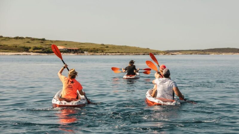 ADVENTURE KAYAK TOUR SEAGULLS ROCKS AND MILITARY ZONE - The Overall Value