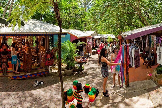 Adventure on a Budget Visit Kuranda or Palm Cove from Pt Douglas - Transportation and Group Size: What It Means for You