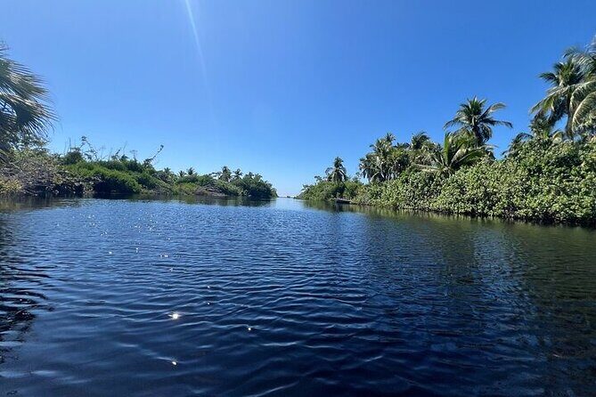 Adventure on the Emerald Coast Ventanilla, Mazunte, Puerto Ángel - Exploring Oaxaca’s Coastal Wonders: An In-Depth Review