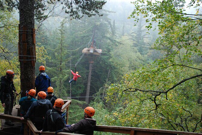 Adventure Parks & Zipline Tour - Adventure Parks & Zipline Tour in Skagway: A Practical Look at Alaska’s Action-Packed Outdoor Experience