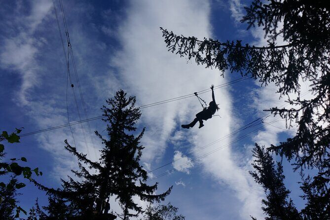 Adventure Parks & Zipline Tour - Who Should Consider This Tour?