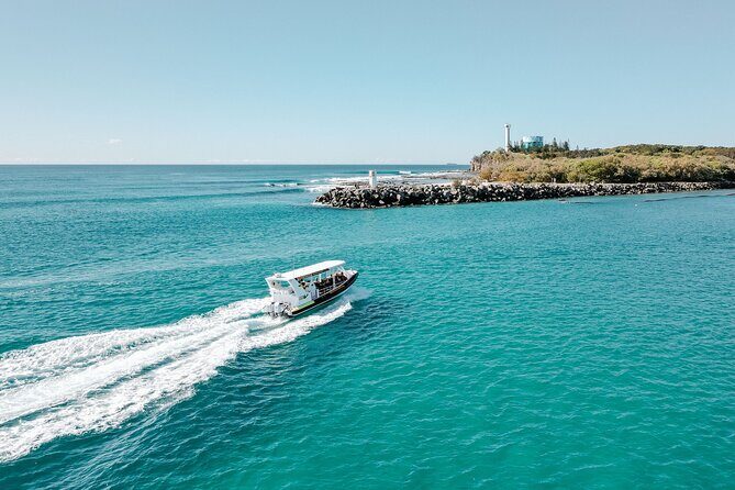 Adventure Rafting - Mooloolaba Turtle Tour - Practical Details: What You Need to Know