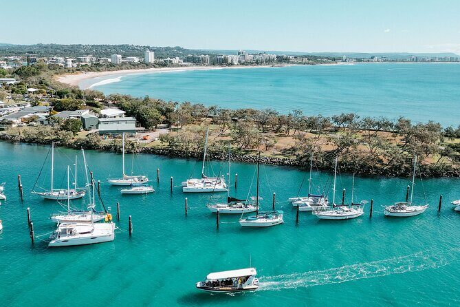 Adventure Rafting - Mooloolaba Turtle Tour - Who Should Skip This Tour?